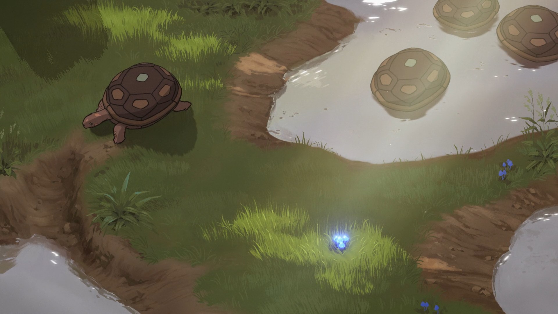 Socrates the Tortoise in Common Side Effects - Common Side Effects